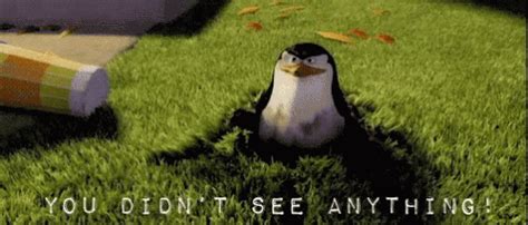 Penguin You Didnt See Anything Penguin You Didnt See Anything