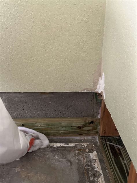 Understanding The Importance Of Prompt Water Restoration Water Restoration Florida