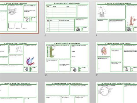 Cambridge Cie Igcse Biology Revision Worksheets Teaching Resources