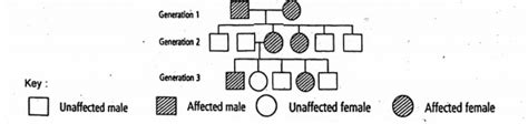 Given Below Is A Pedigree Chart Showing The Inheritance Of A Certain