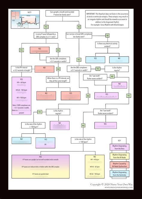 Ekg Flowchart Diagram Quizlet