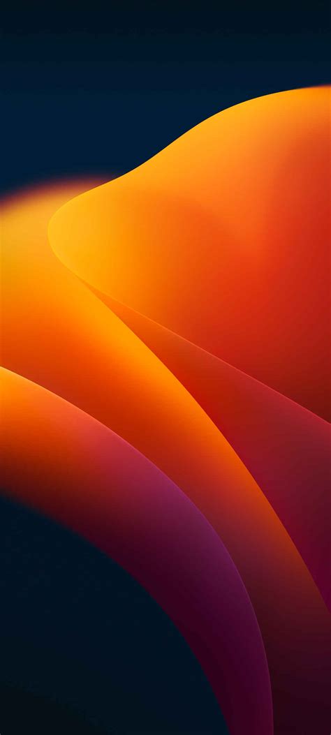 手机壁纸 壁纸高清