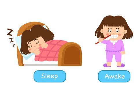 Premium Vector Opposite Words Words Asleep And Awake Vector Illustration