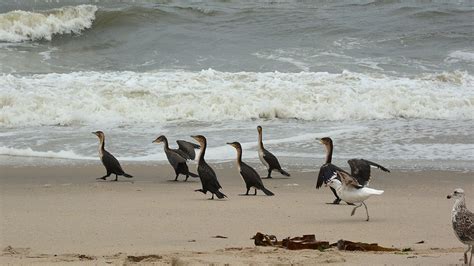 Visit Skeleton Coast National Park Namibia — Gorilla Tracking Safaris