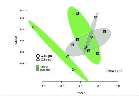 Nonmetric Multidimensional Scaling Nmds Of The Overall Benthic Download Scientific Diagram