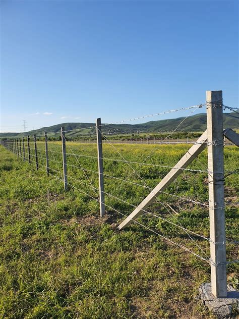 🔹 „იქ სადაც ჩანს ვინ სცემს [მოქალაქეს] ერთი შემთხვევა მაინც შეგიძლიათ მითხრათ რომელიმე