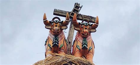 Toritos De Pucará Una Tradición Andina