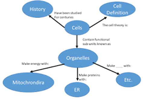 lesson 6 learning and memory course concept maps psychology today