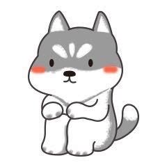 Python hasattr 函数长文讲解 异常教程