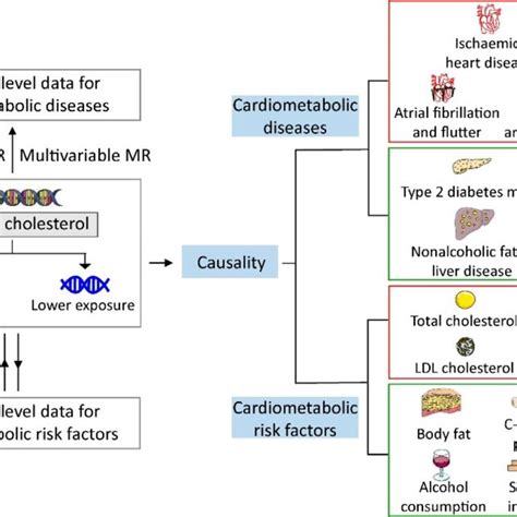 Causal Association Between Remnant Cholesterol And Cardiometabolic Diseases Download