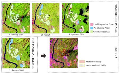 Remote Sensing Special Issue Mapping The Dynamics Of Forest Plantations In Tropical And