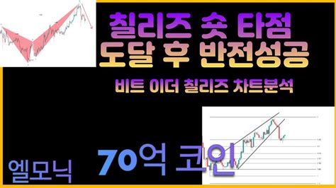 비트코인 70억 트레이더 칠리즈 크랩패턴 반전 성공 비트 이더리움 차트분석 Youtube