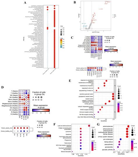 单细胞分析多种机器学习算法快速挖掘关键基因，还有分子对接助力，简单易复现的分析让纯生信轻松发表！ 知乎