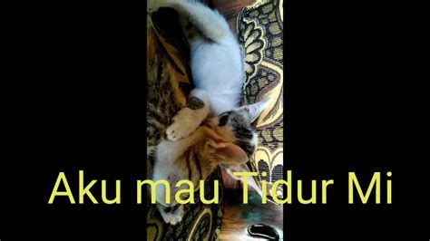 Mau Tidur Malah Diganggu Youtube