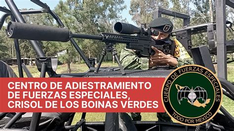 Armas Revista Militar