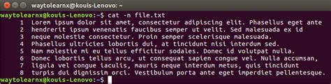 10 Exemples Pratiques Avec La Commande Cat Sous Linux Waytolearnx