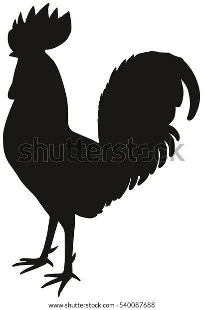 Black Silhouette Cock Isolated On White Stock Vector Royalty Free
