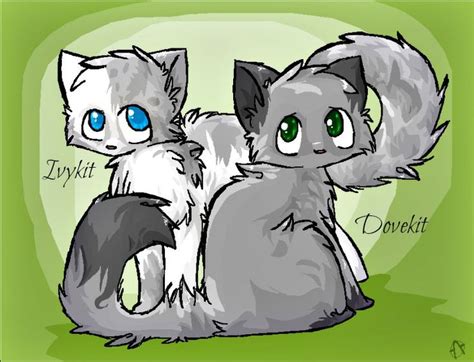 Ivypool And Hawkfrost Kits
