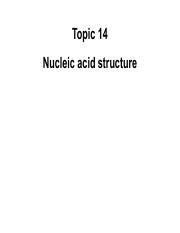 Understanding Nucleic Acid Structure And Its Importance In Course Hero