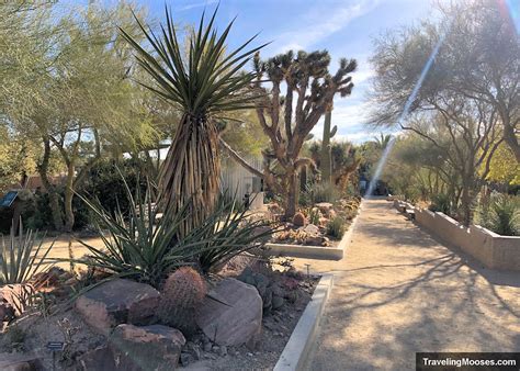 What Makes The Springs Preserve A Must See In Las Vegas Traveling Mooses