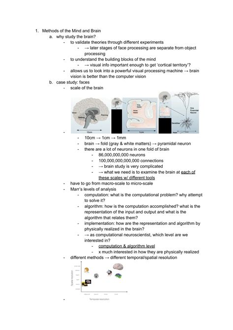 Visual Cognition Lecture 2 Visual Cognition Cogs050116 Stuvia Us