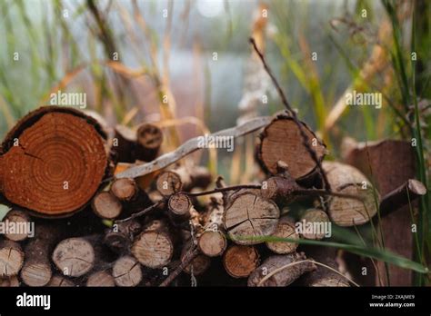 Log And Twig Pile Eco Bug Habitat In A Cottage Garden England Stock