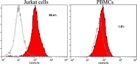 Foxp3 Expression In Jurkat Cells And Pbmcs The Expression Of Foxp3 In Download Scientific