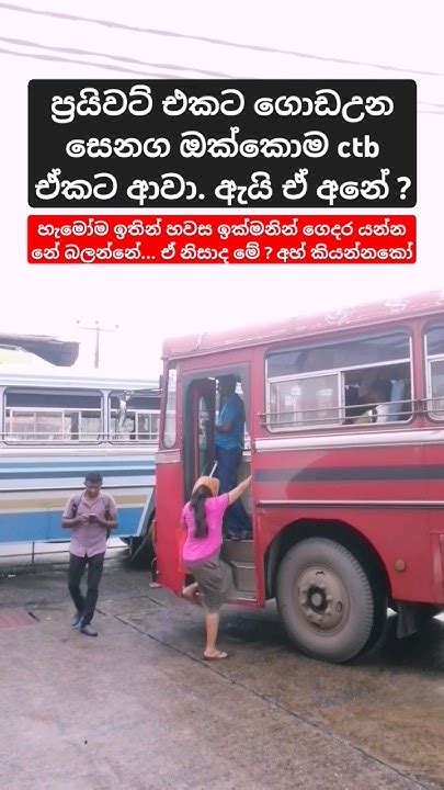 ප්‍රයිවට් බස් එකේම සෙනග නැග්ගනේ Ctb එකට 😂😌 All Bus People Joined Another Bus In Sri Lanka Youtube
