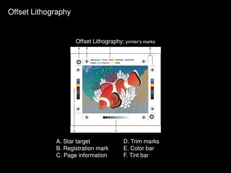 Ppt Offset Lithography Powerpoint Presentation Free Download Id3512533 Ppt Offset Lithography Powerpoint Presentation Free Download Id3512533