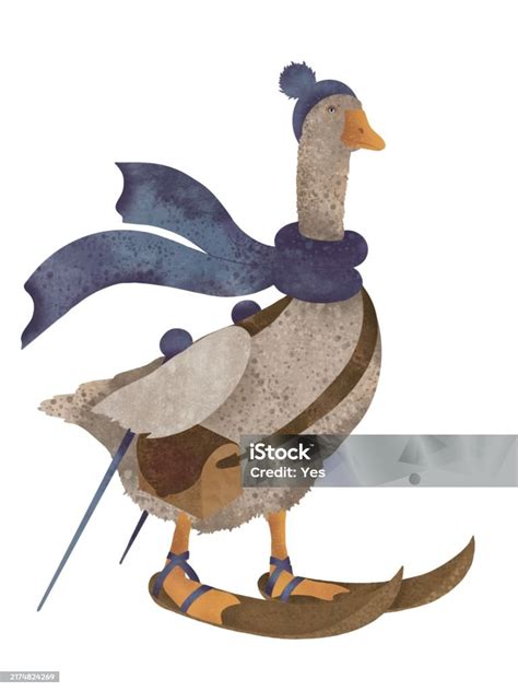 스키를 탄 거위 우체부 모자 흰색 배경에 스카프를 두르고 있습니다 0명에 대한 스톡 벡터 아트 및 기타 이미지 0명 12월 거위 새 Istock