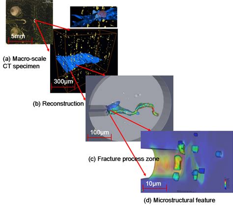 Three Dimensional Microstructure Reconstructions And Simulations Of