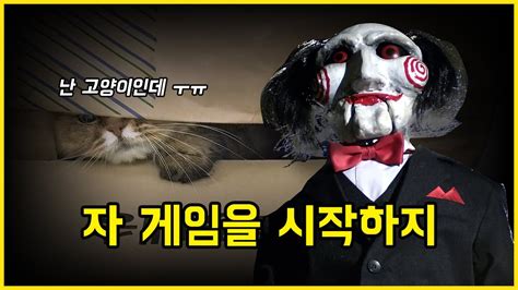 이제는 고양이와도 게임을 하는 직쏘 귀여운 장면 O 고양이저금통 저금통 직쏘 Youtube