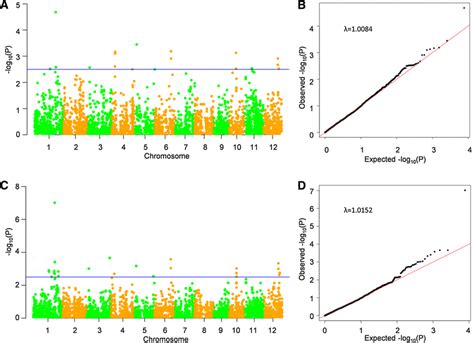 manhattan plots and quantile quantile q q plot of gwas for sd and sr