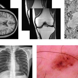 A Sample Of Each Dataset Used For Evaluation In This Study From Top To Download Scientific
