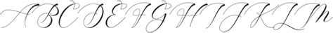 Shophia Script Regular Otf Font Script Elegant What Font Is