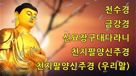 10억을 끌어오는 주문💰돈과 부를 부르는 파워확언 💫부자 성공 풍요 행운 행복 재물 소원성취 시크릿 잠재의식 명상 음악 천지팔양신주경 천지팔양신주경