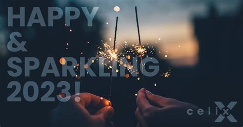 Newyear Celix Celix Solutions Gmbh