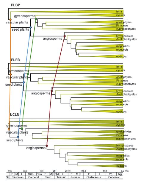 effect of relaxed clock method on estimated ages dated trees obtained