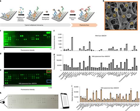 Plasmonic Fluor Enhanced High Throughput Proteome Profiler Array A