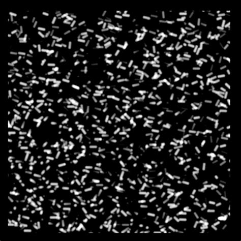 Small Blender Things Noise Experiment With Open Shading Language