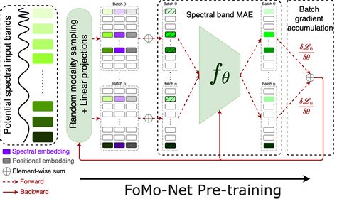 Fomo Bench A Multi Modal Multi Scale And Multi Task Forest Monitoring