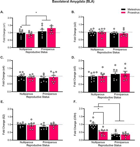Reproductive Experience Alters Anxiety Related Gene Expression In The