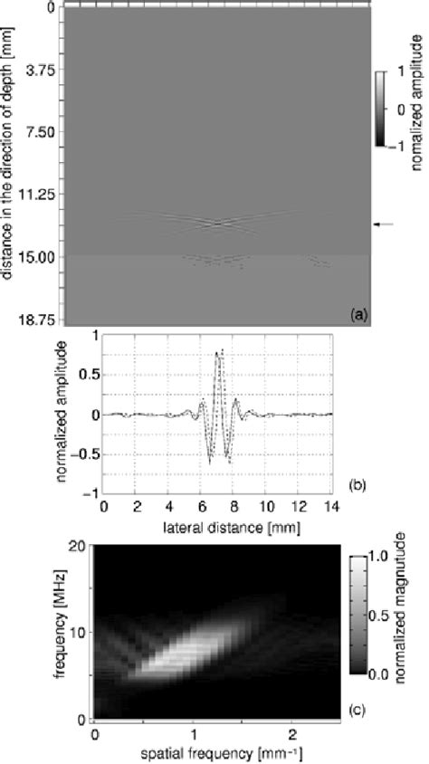 Radio Frequency Echo From A Fine Wire Obtained By The Lateral Download Scientific Diagram