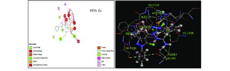 2d And 3d Binding Interactions Of Co Ii Complex Download Scientific