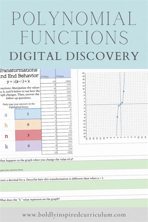 Polynomial Function Transformations Digital Activity Polynomial Functions Polynomials Quadratics