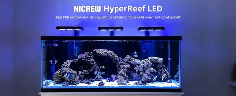 Best Aquarium Reef Lights At Hayley Ironside Blog
