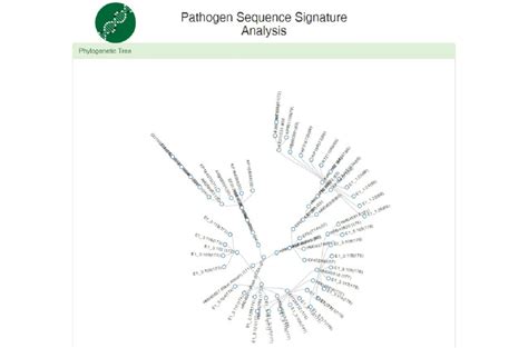 Radial Tree Visualization The Three Genotypes Are Separated Into The