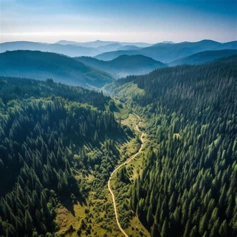 Photo Ukrainian Carpathian Mountain Forest From Above Aerial View