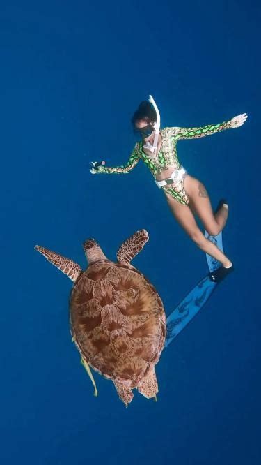 Diving With A Beautiful Turtle In Maldives