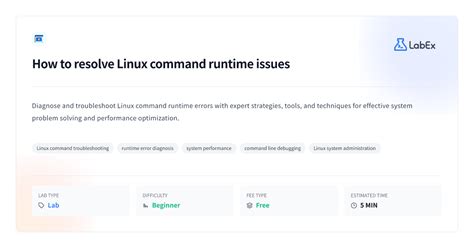 How To Resolve Linux Command Runtime Issues Labex
